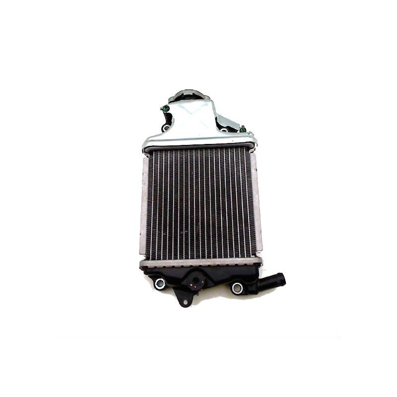Radiator Honda PCX 125/150 19100-KZY-701
