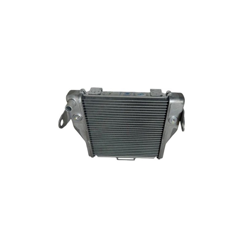 Radiator Honda Forza 350 19010-K1B-T01